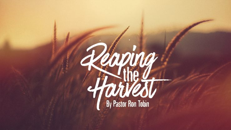 Reaping the Harvest - Tomah Baptist Church